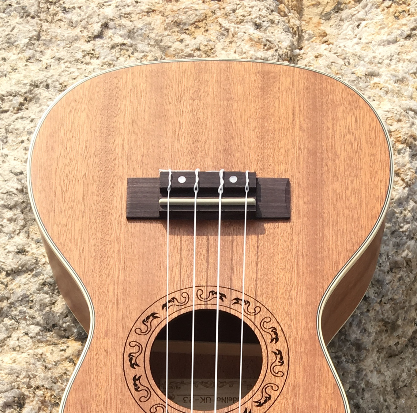 Different ukulele sizes for beginners kit