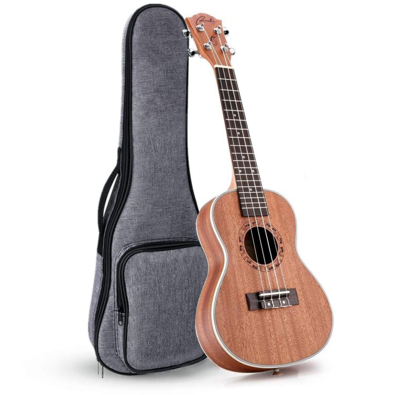 Ukelele Left Handed Concert Ukulele for Beginner [23 inch]